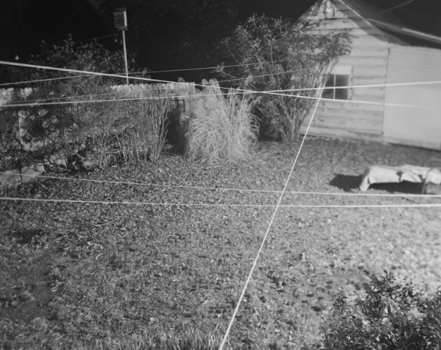 Trespasser - Rosemary Haynes - Untitled (backyard study, compressed ...